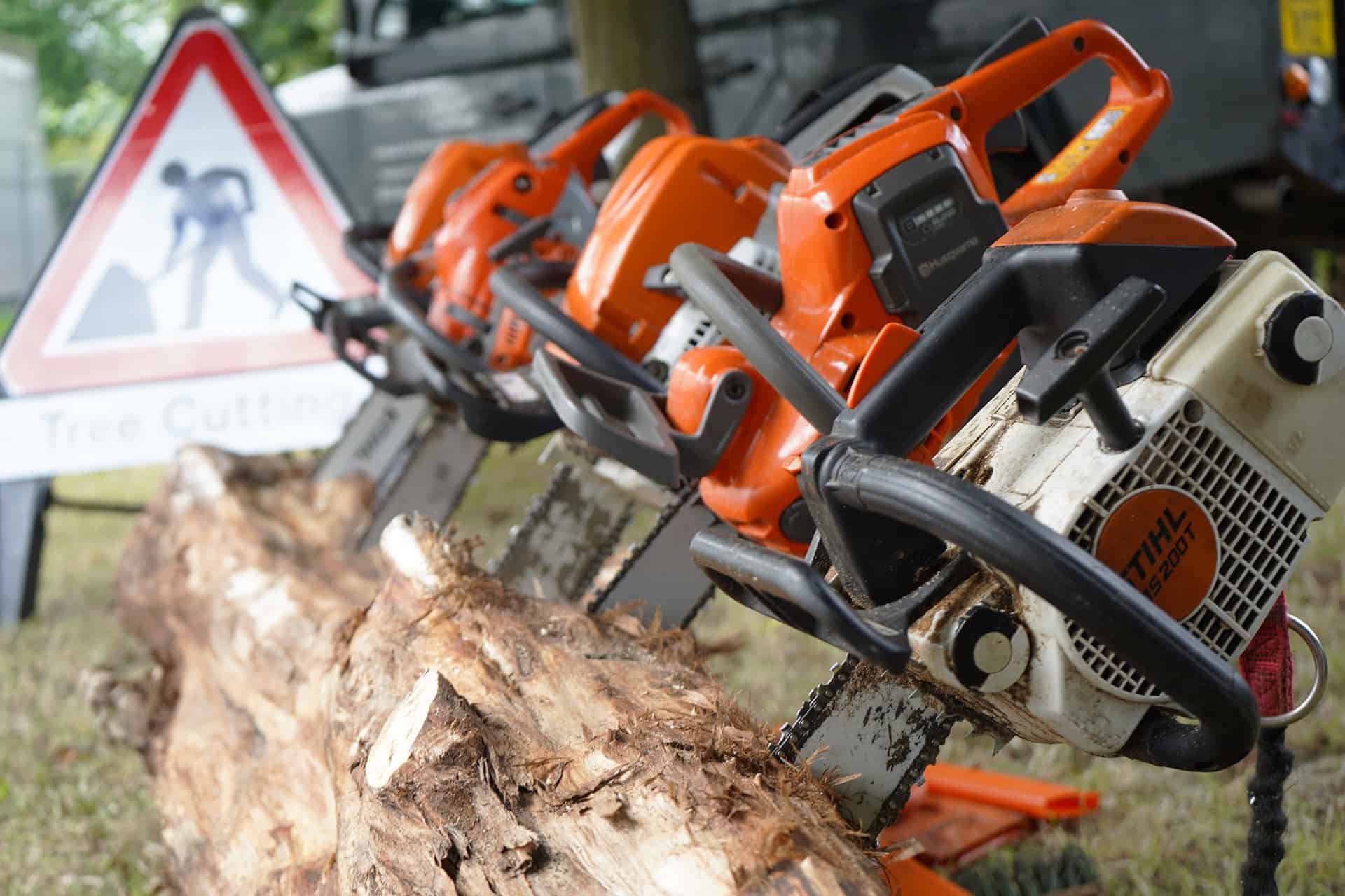 Competence in Chainsaw Maintenance and Cross-Cutting (Level 2) - Capel Manor College