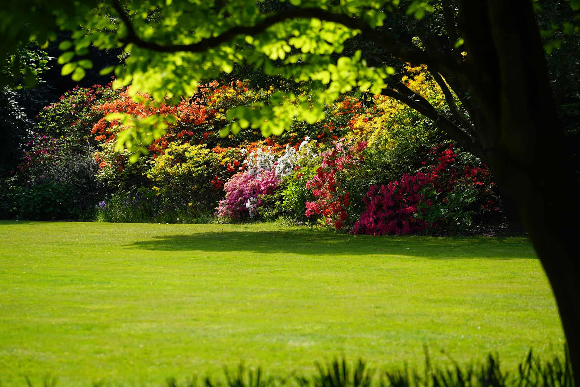 Volunteering - Capel Manor College