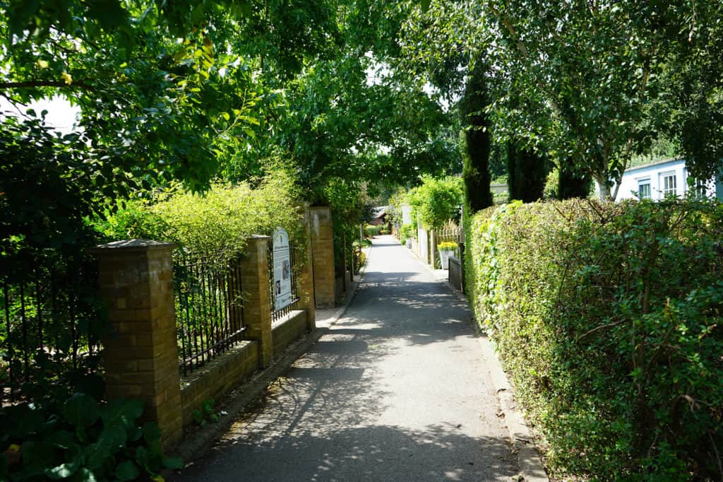 Matthew's story - Capel Manor College