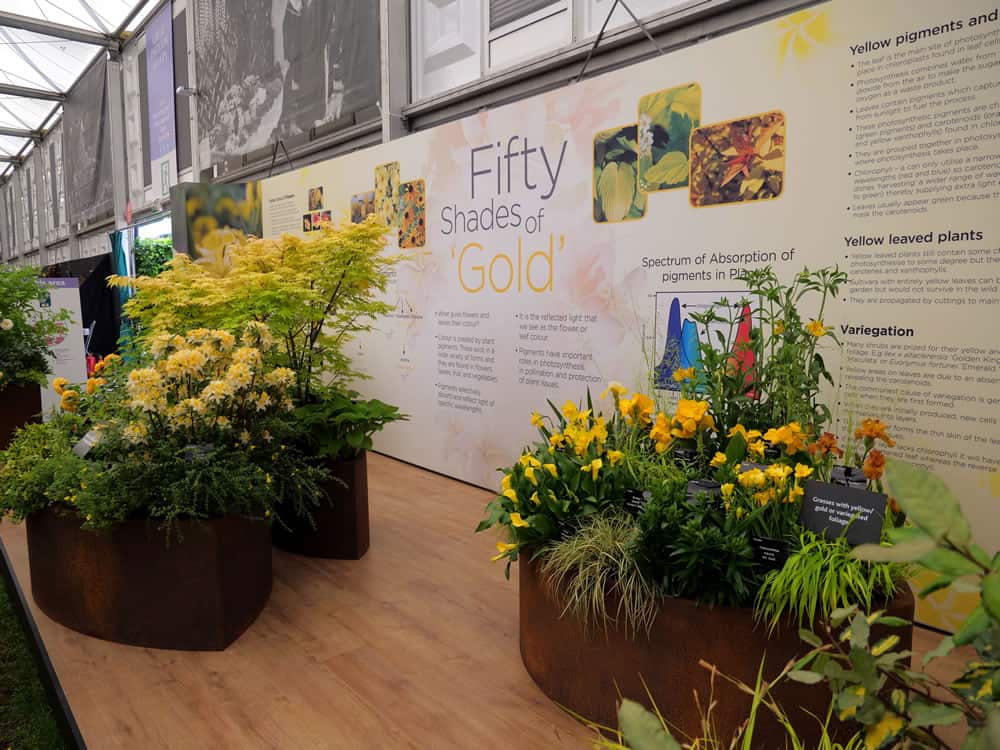 Our History - Capel Manor College