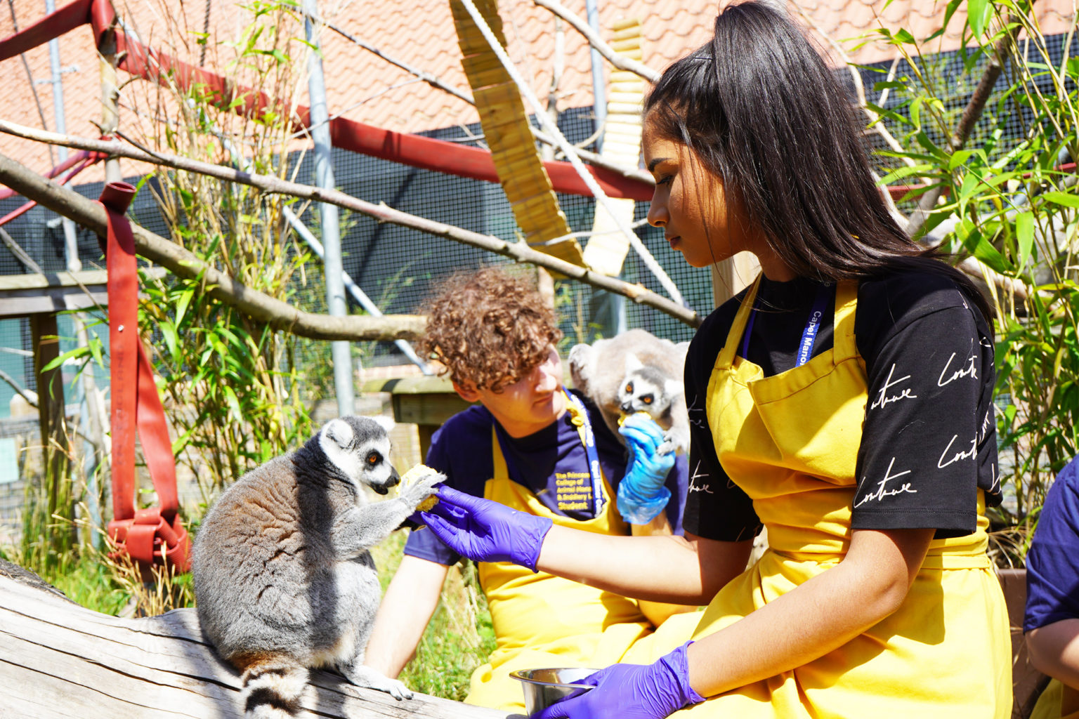 College vs. Sixth Form - Capel Manor College