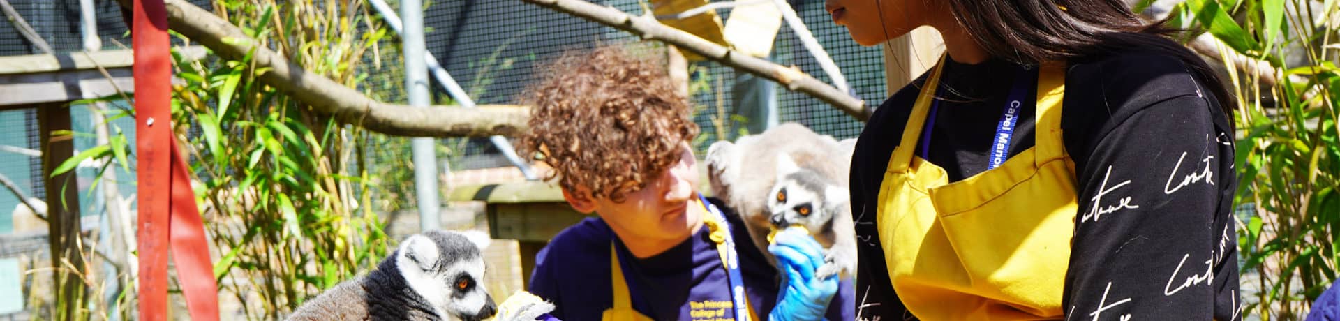 Pathway to Animal Management - Capel Manor College