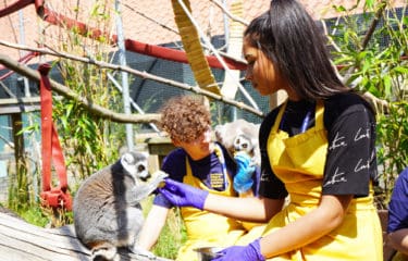 Home - Capel Manor College