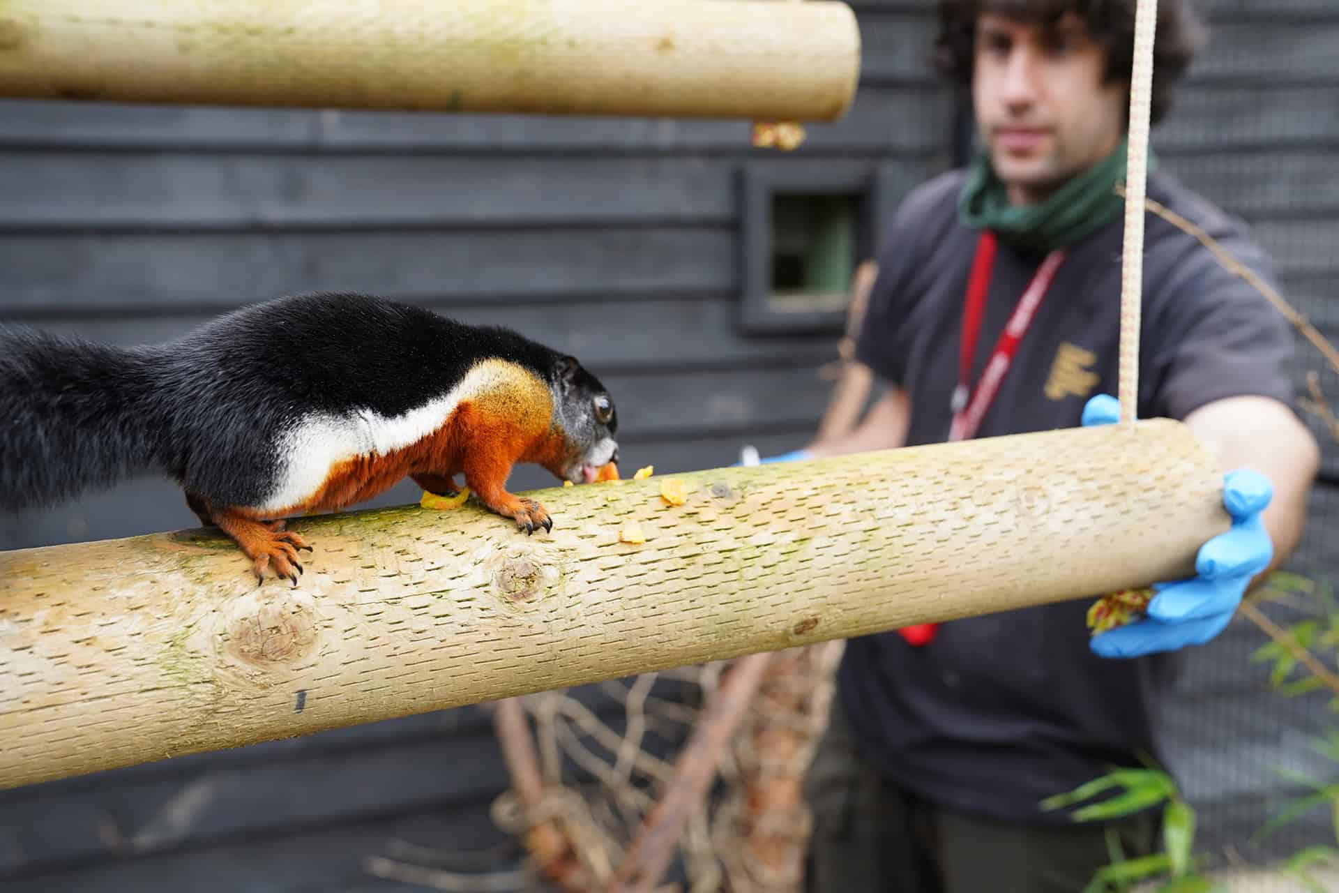 Caring for our Animals and Plants During Lockdown - Capel Manor College