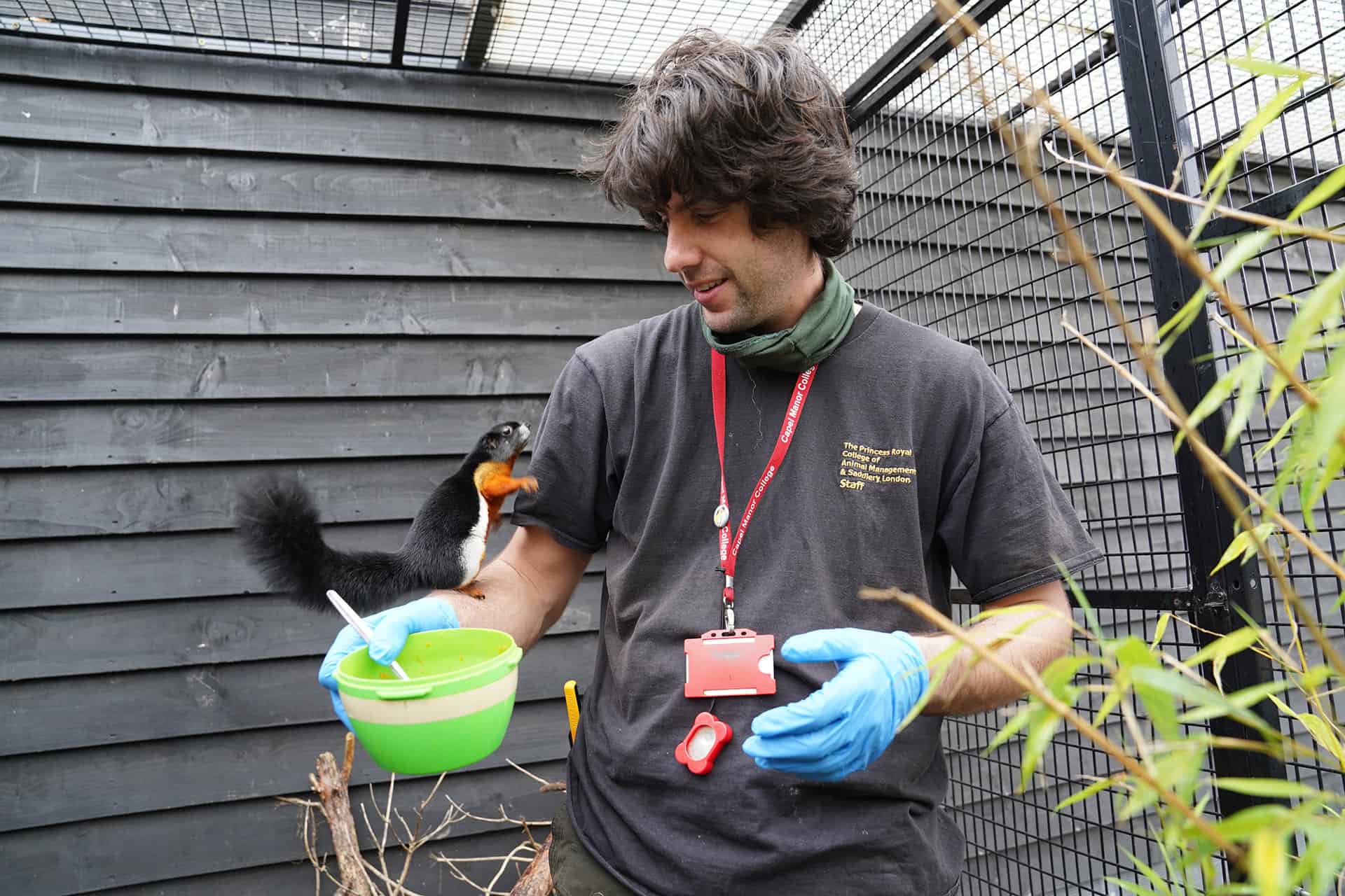 Caring for our Animals and Plants During Lockdown - Capel Manor College
