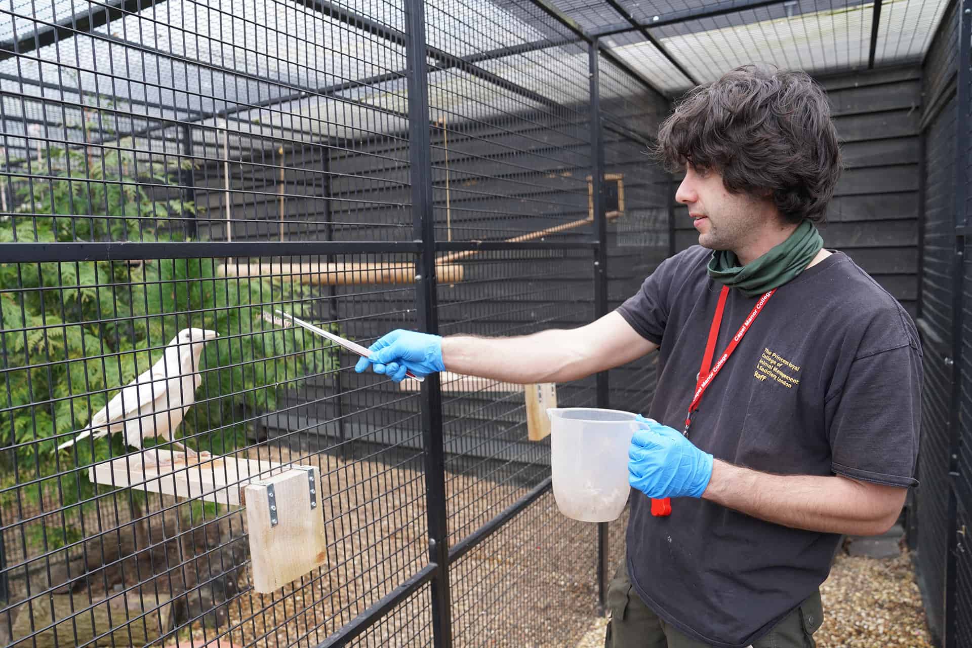 Caring for our Animals and Plants During Lockdown - Capel Manor College