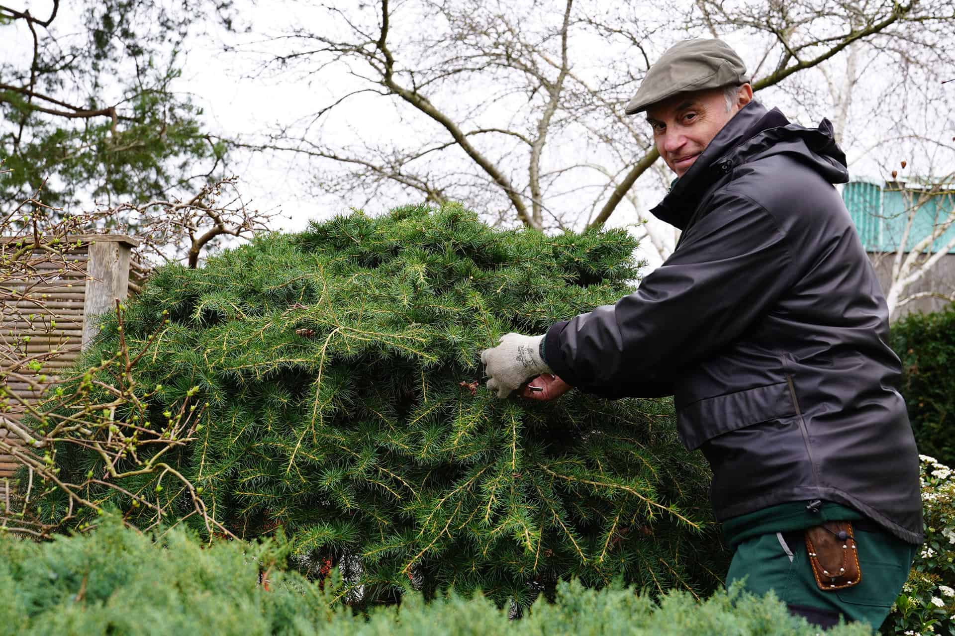 Caring for our Animals and Plants During Lockdown - Capel Manor College