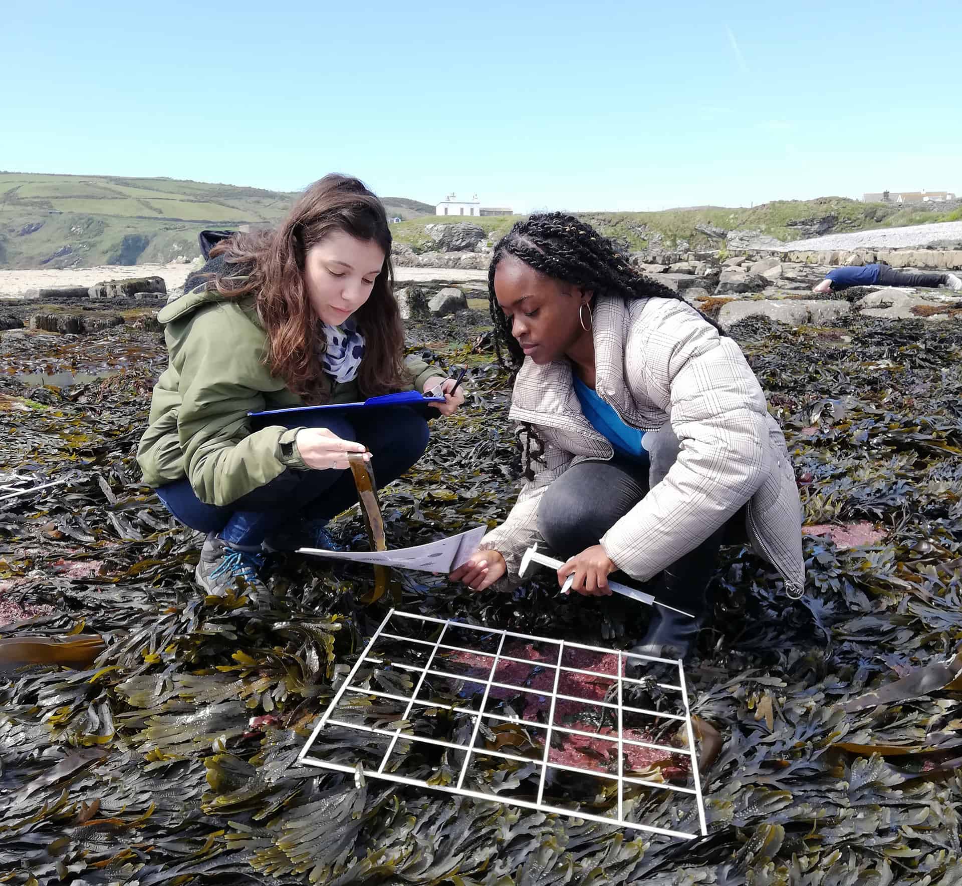 Introduction to Coastal Issues - Capel Manor College