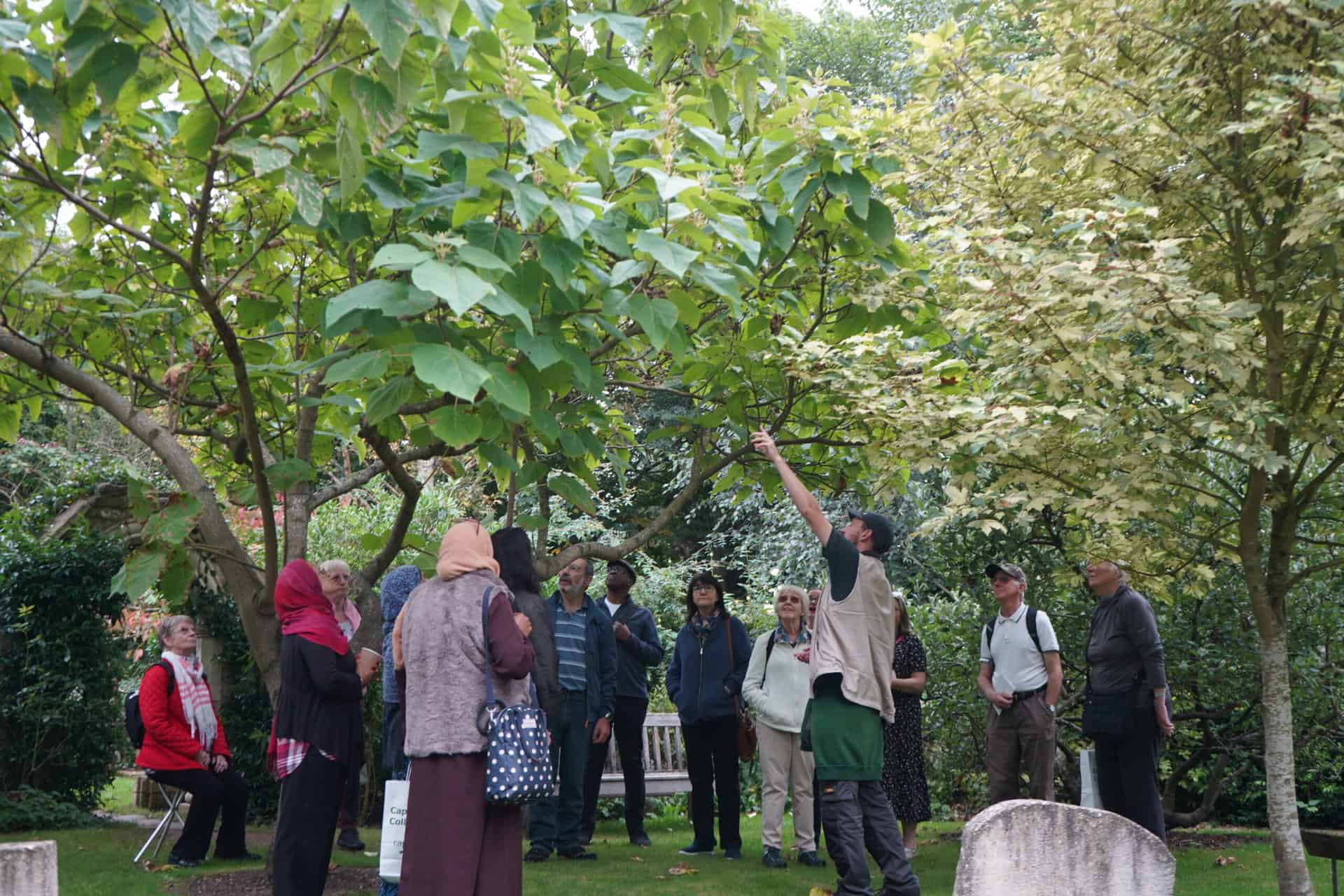 Capel Manor College Supports Enfield Climate Change Festival - Capel ...