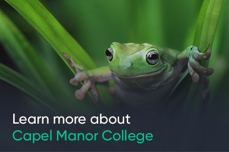 Parents and Carers - Capel Manor College