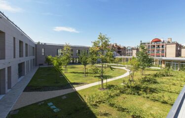 Home - Capel Manor College