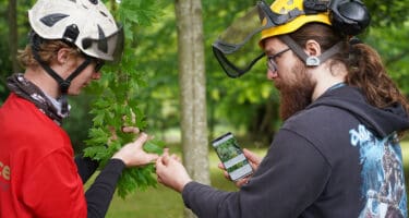 Arboriculture and Forestry - Capel Manor College