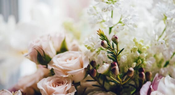 Apply Now - Capel Manor College