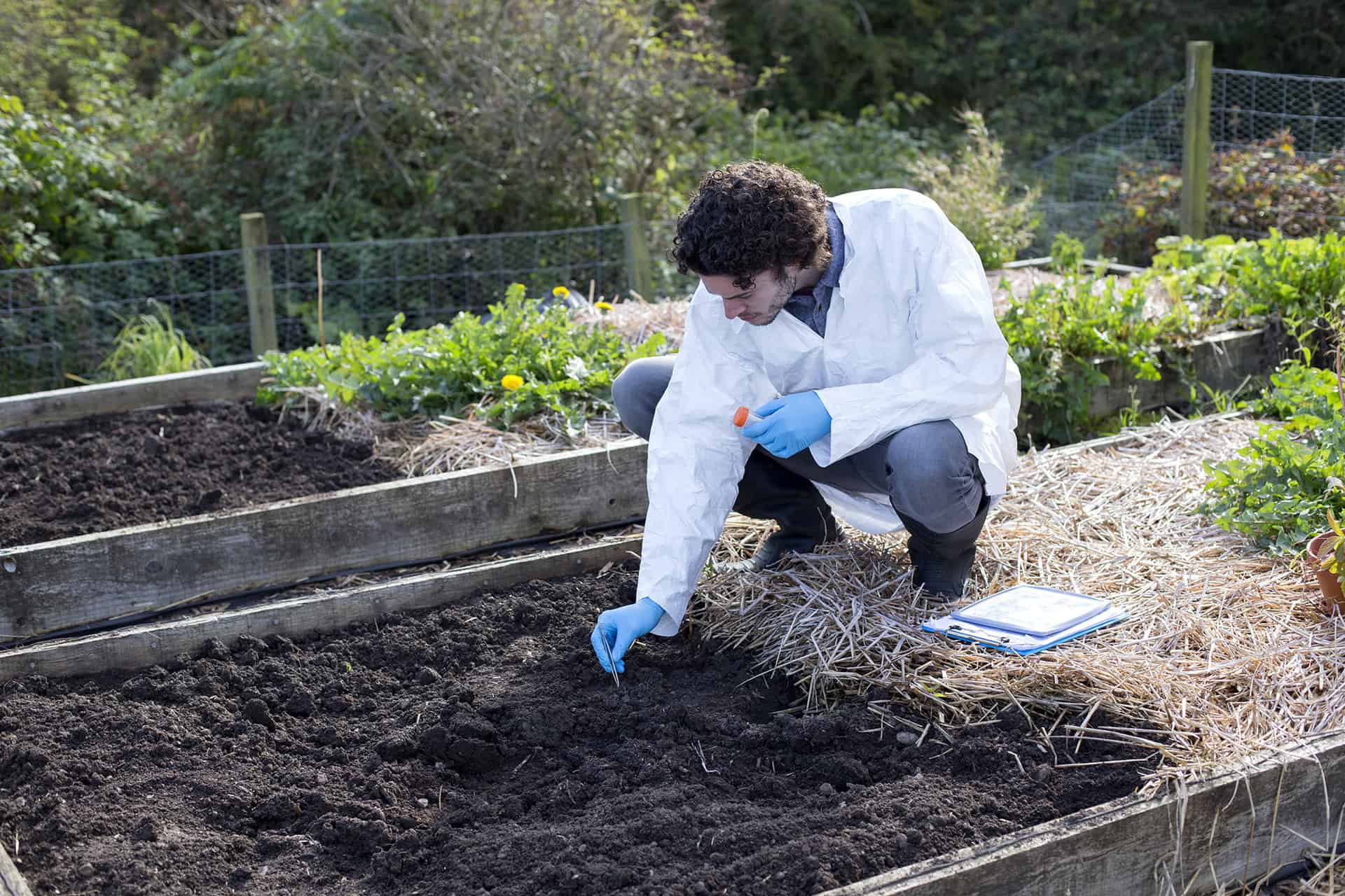 Advanced Technical Diploma in Horticulture (Level 3) - Capel Manor College