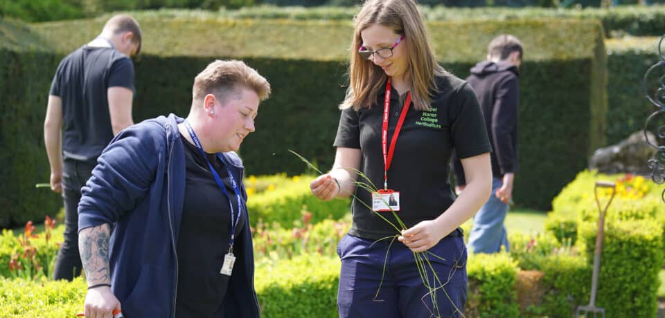 Diploma in Landscaping and Gardening (Level 2) - Capel Manor College