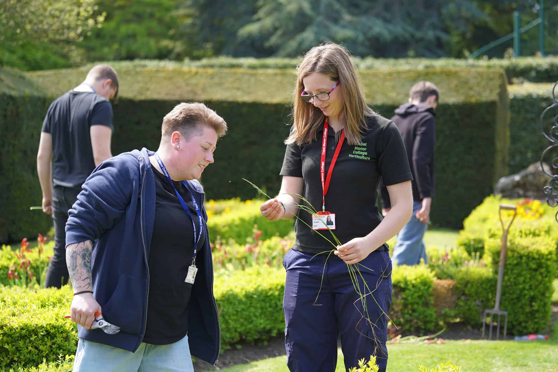 Diploma in Landscaping and Gardening (Level 2) - Capel Manor College