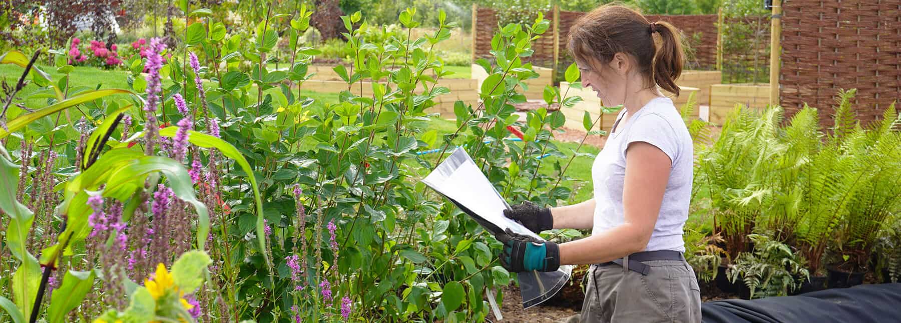 Home - Capel Manor College