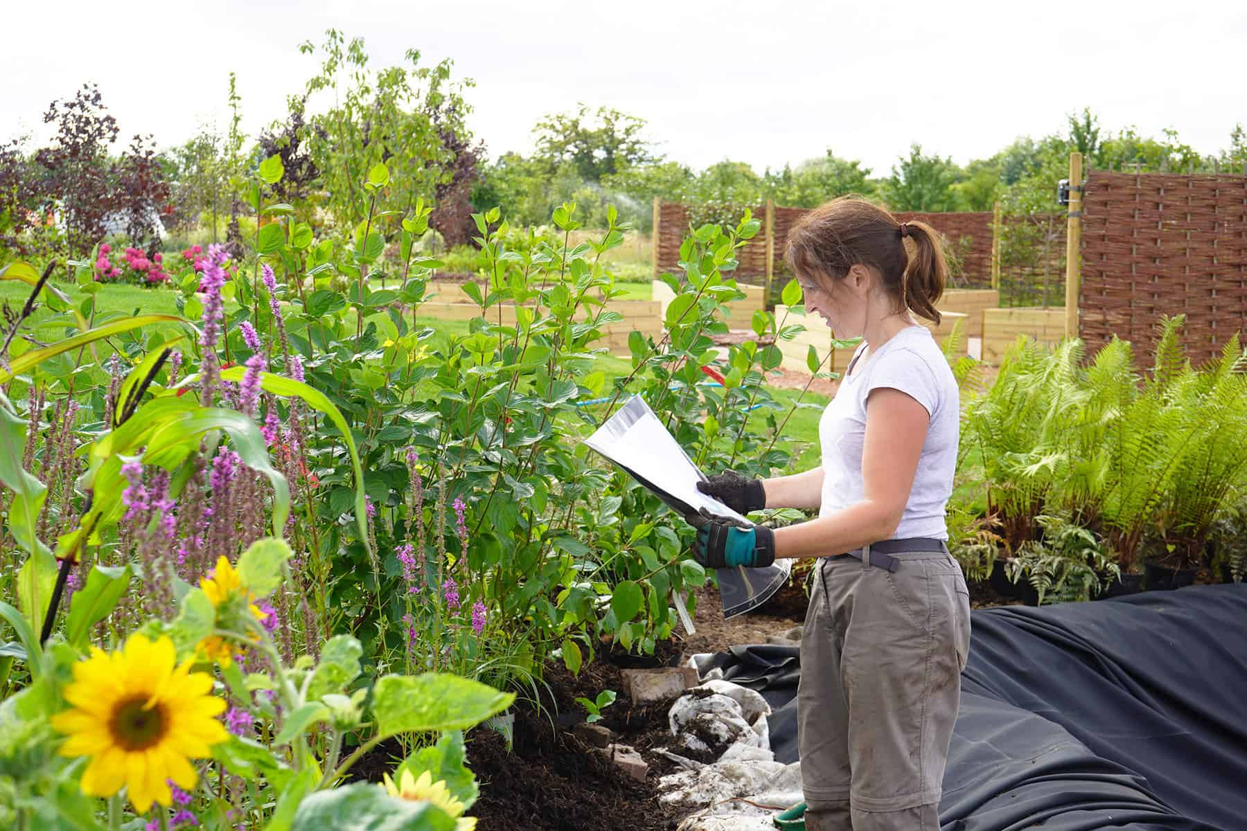 RHS Level 2 Certificate in Practical Horticulture - Capel Manor College