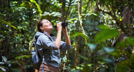 Introduction to Wildlife and Conservation (Level 1) - Capel Manor College