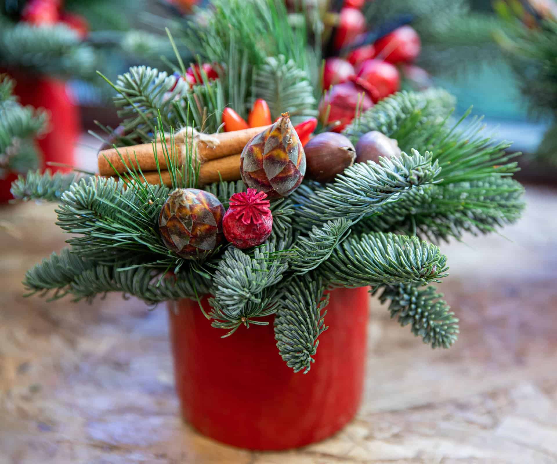 Floristry - Festive Designs to Inspire and Create (Level 1) - Capel ...