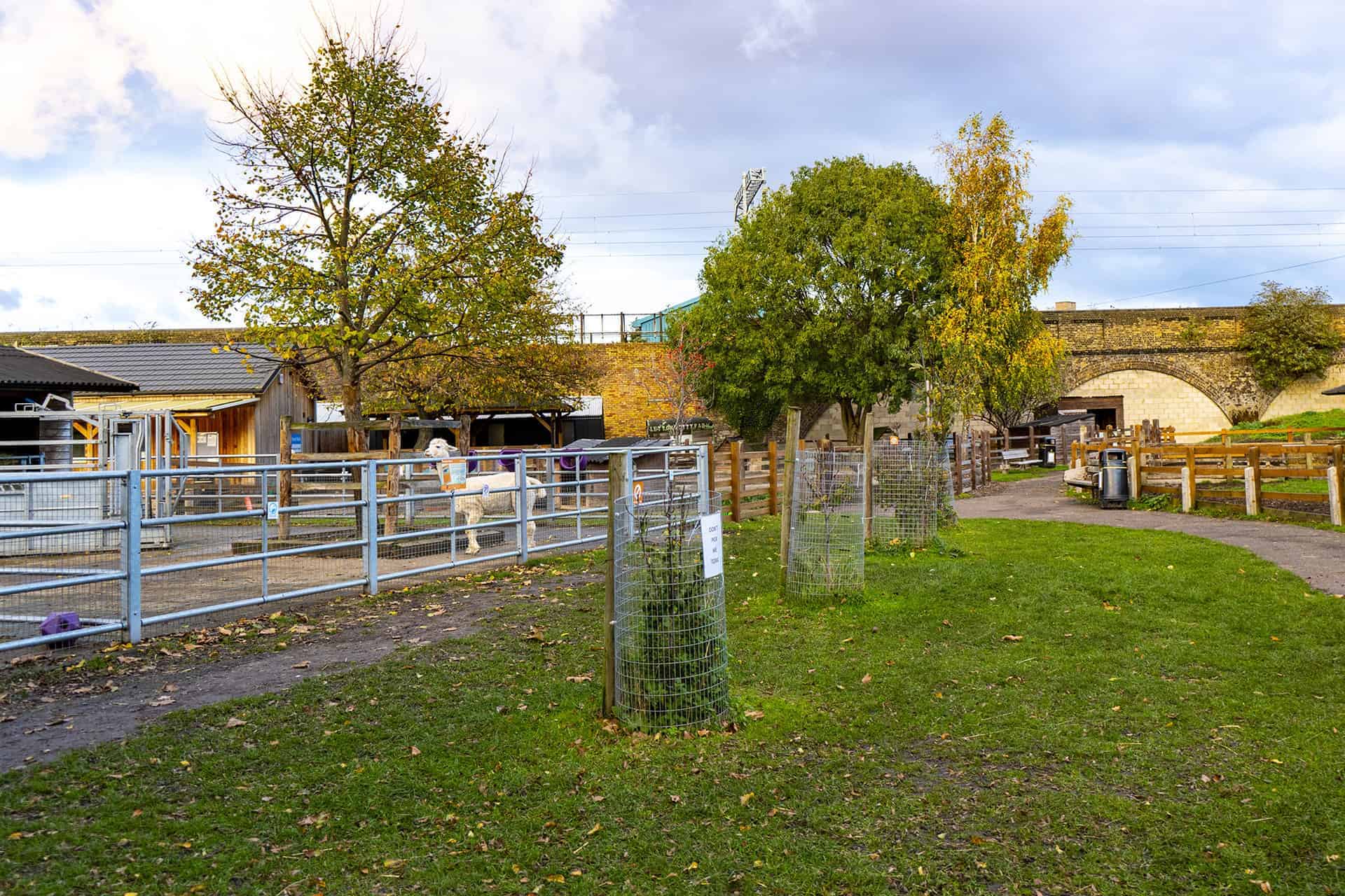 Capel Manor College and Brooks Farm - Capel Manor College