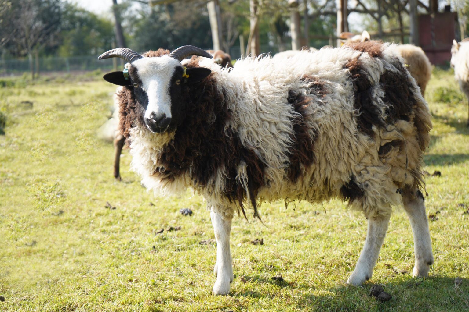 Jay's story - Capel Manor College