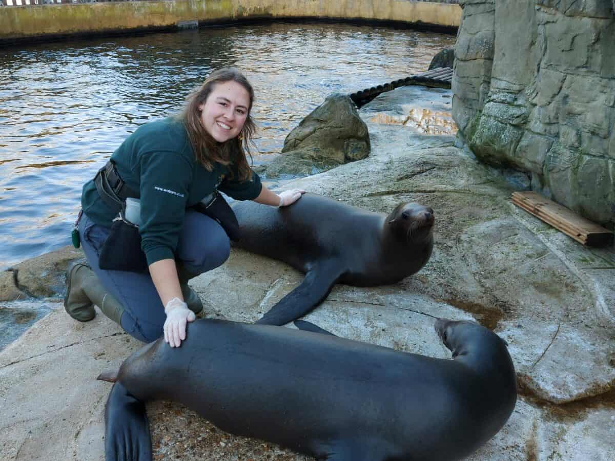 FdSc Animal Management and Zoology - Capel Manor College