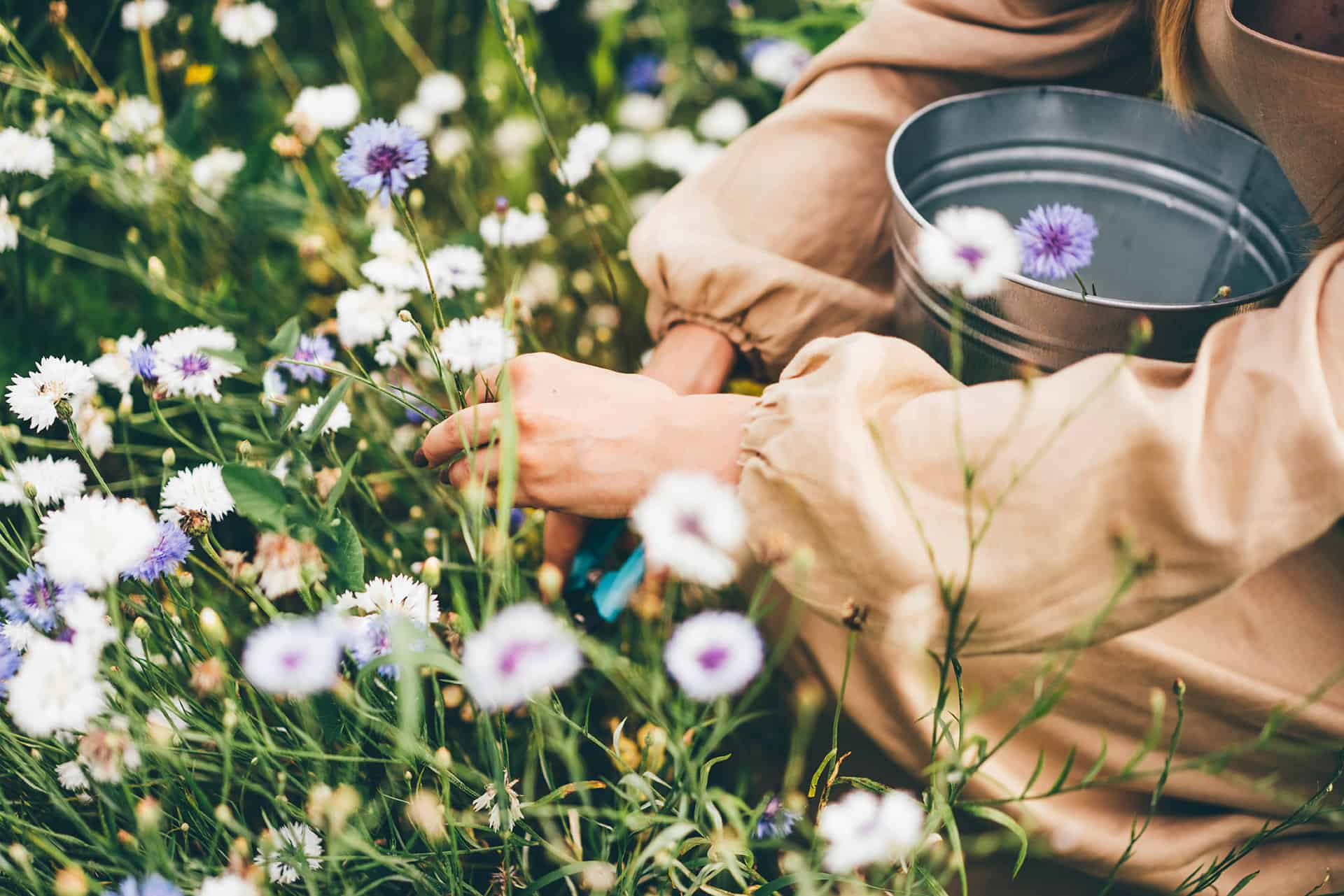 Floriculture Fundamentals - Creative Floral Day at Forty Hall Farm ...