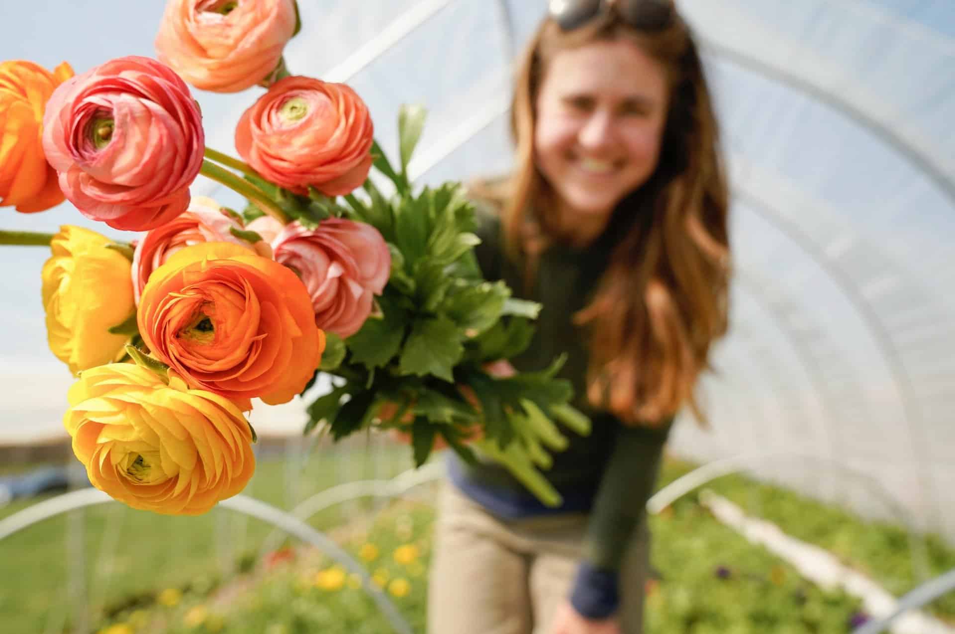 Introduction to Floriculture - Capel Manor College