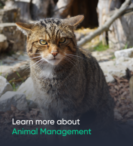 Animal Management - Capel Manor College