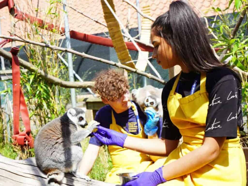 Animal Management and Dog Grooming Courses - Capel Manor College