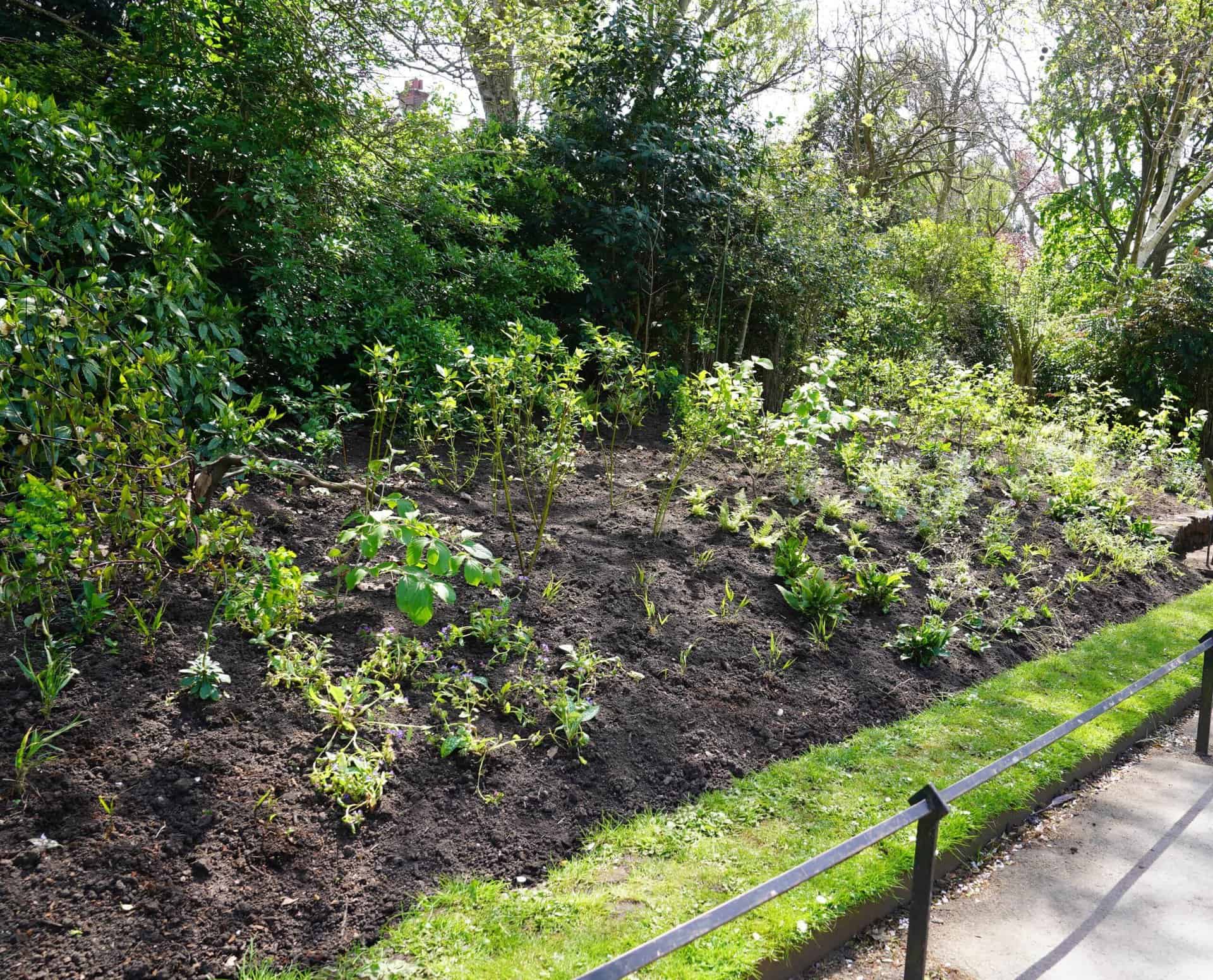 Capel Manor College Collaborates with The Royal Parks Charity - Capel ...