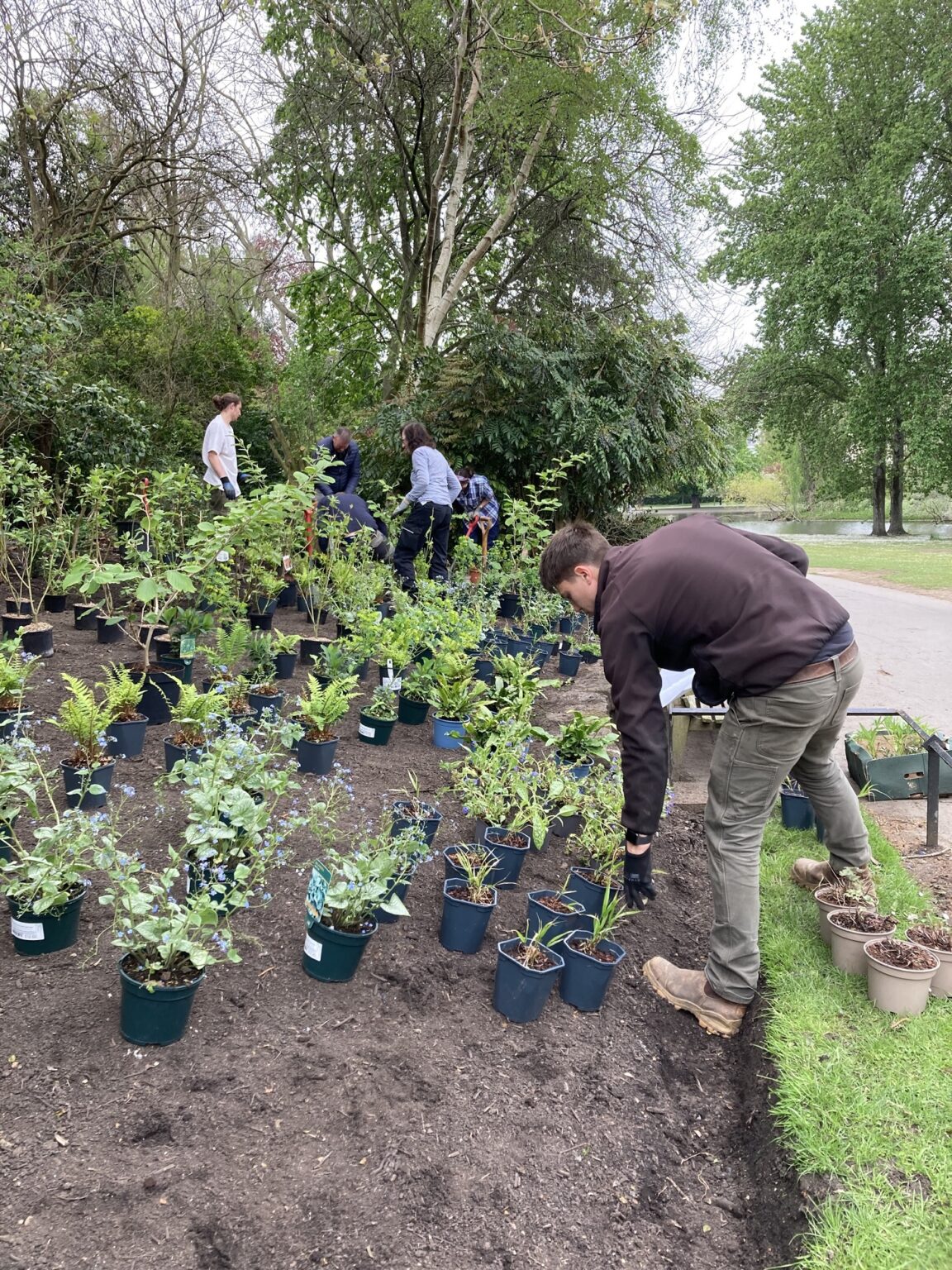 Capel Manor College Collaborates with The Royal Parks Charity - Capel ...