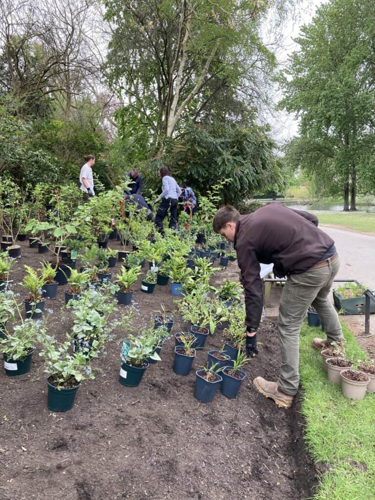Capel Manor College Collaborates with The Royal Parks Charity - Capel ...