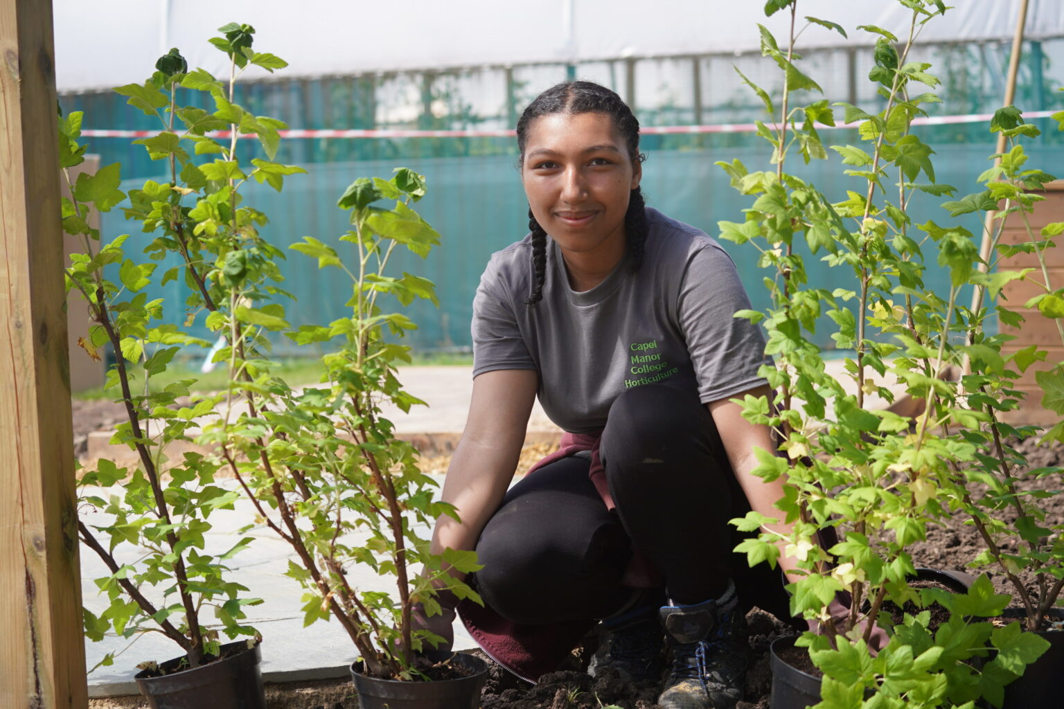 Horticulture Supervisor Apprenticeship (Level 3) Promotion - Capel ...