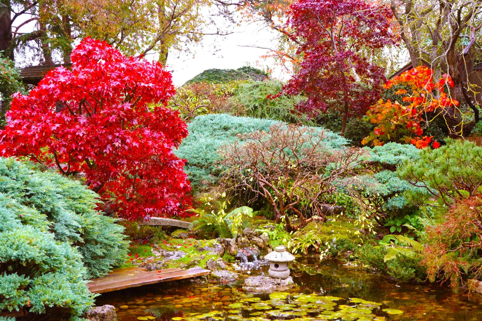 Capel Manor Gardens - Capel Manor College