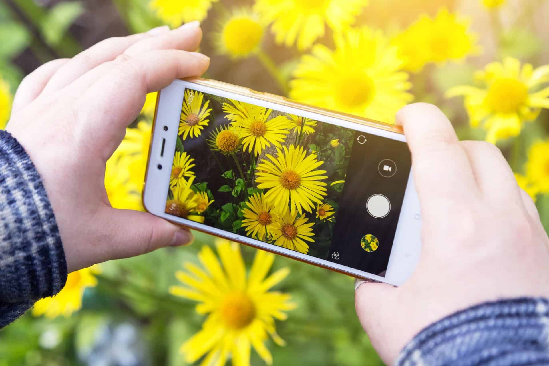 Capture the Moment - Beginners Smartphone Photography Experience Day ...