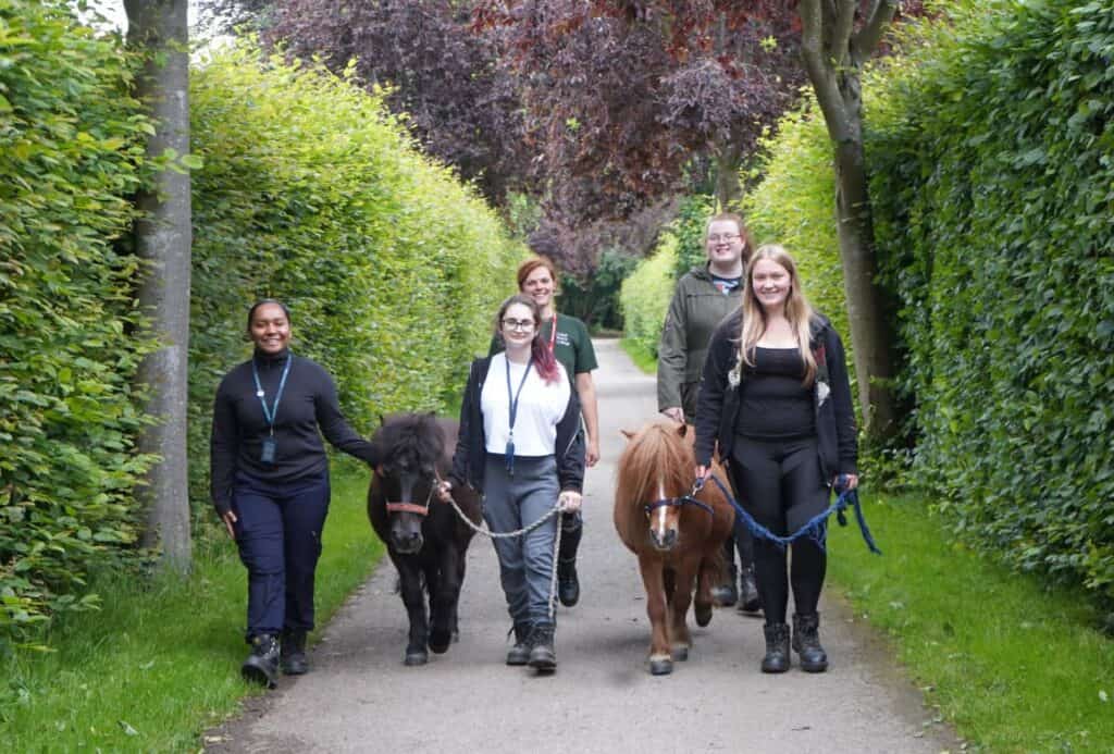 Key Information for New Students - Capel Manor College