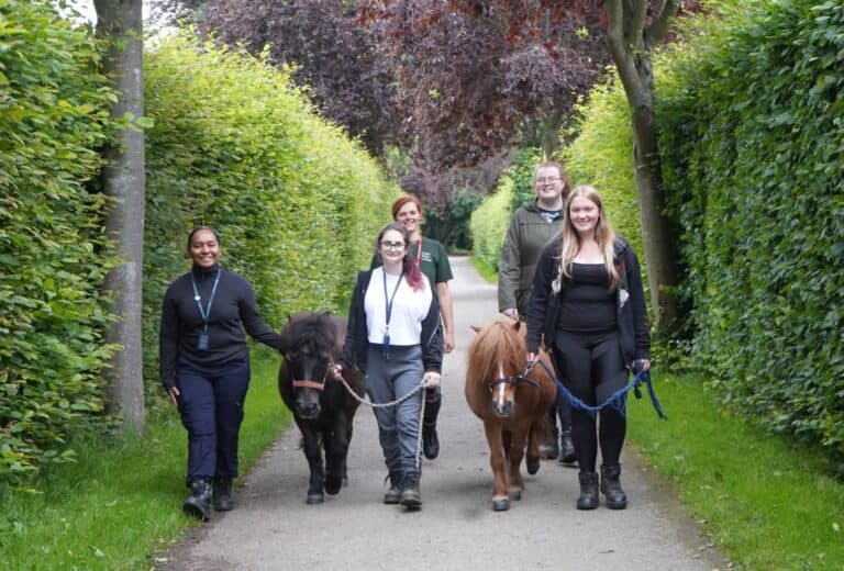 Key Information for New Students - Capel Manor College