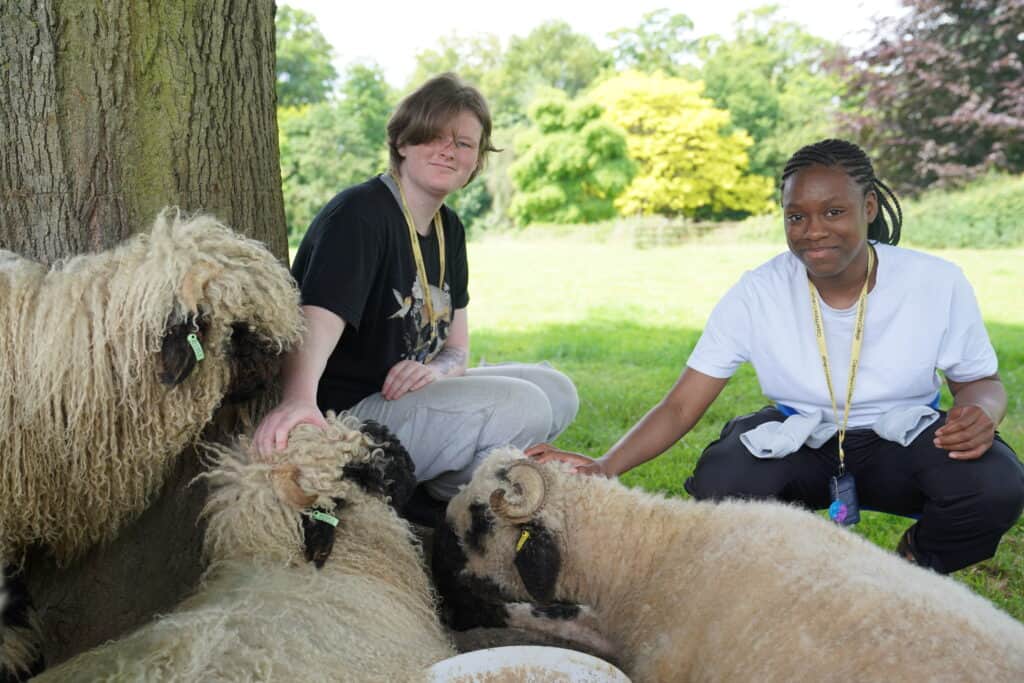 Animal Management Courses - Capel Manor College