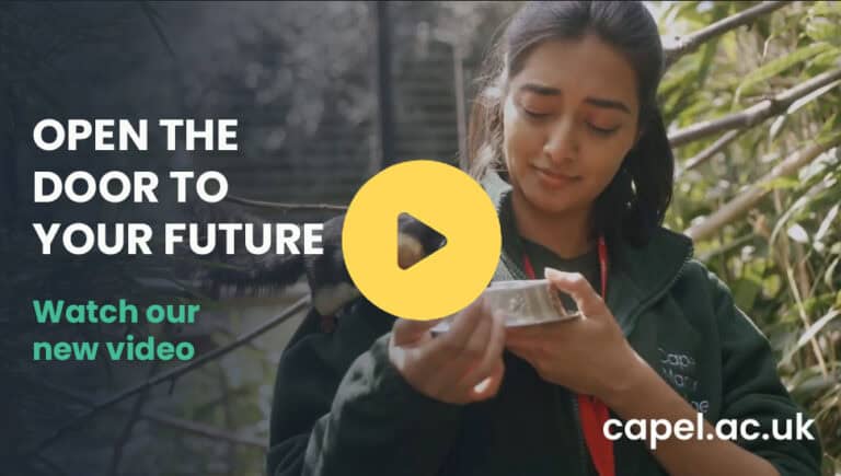 Home - Capel Manor College