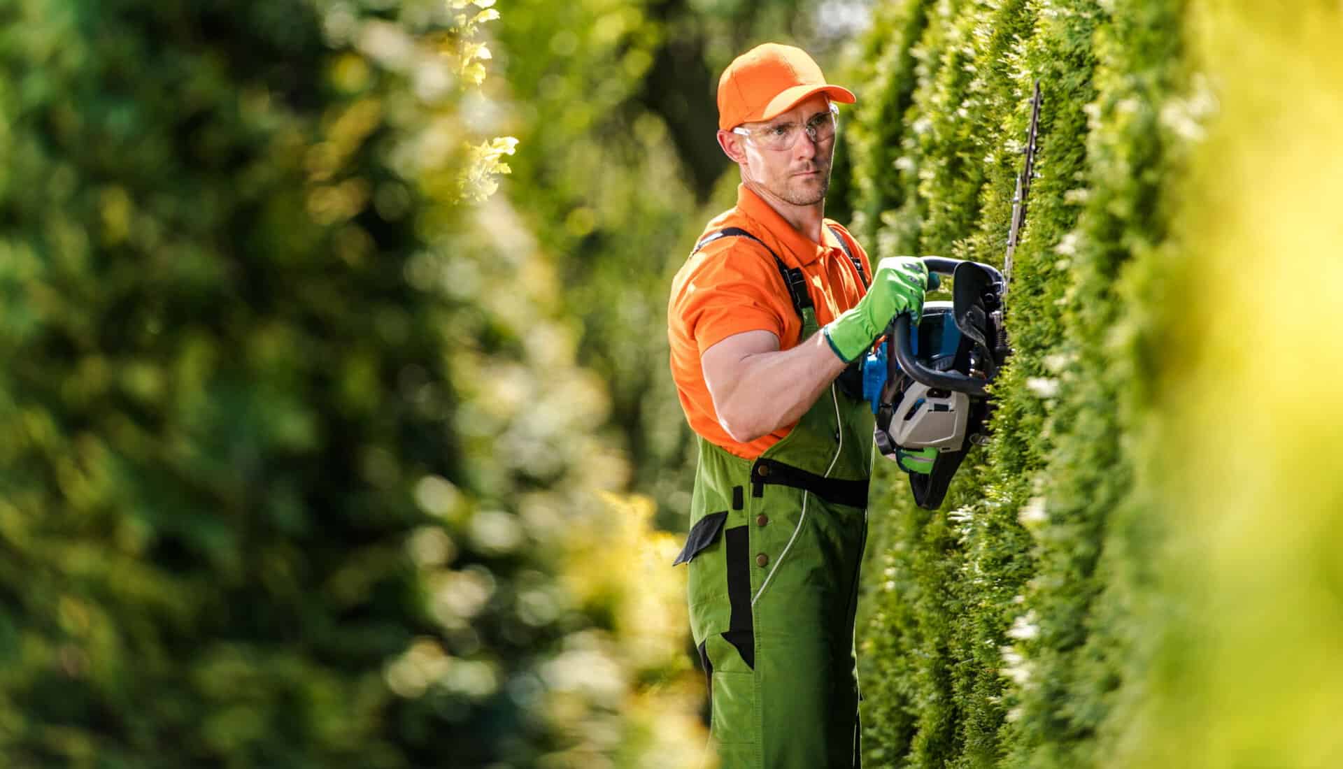 Competence in the Safe Use of Hand-held Hedge Cutters (Level 2) - Capel ...