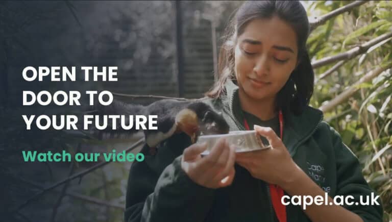 Home - Capel Manor College