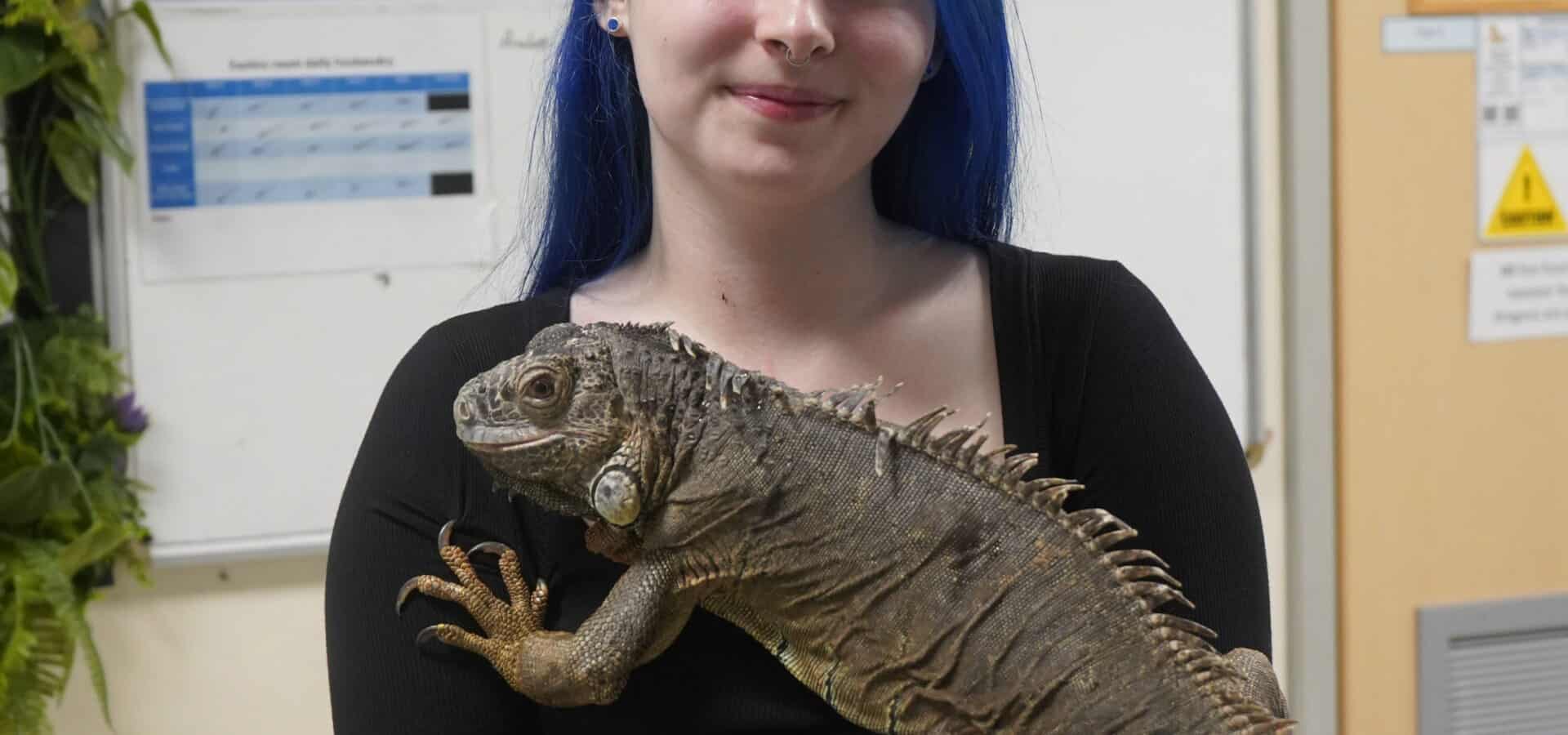 Animal Management Advanced Diploma (Level 3 Courses) - Capel Manor College