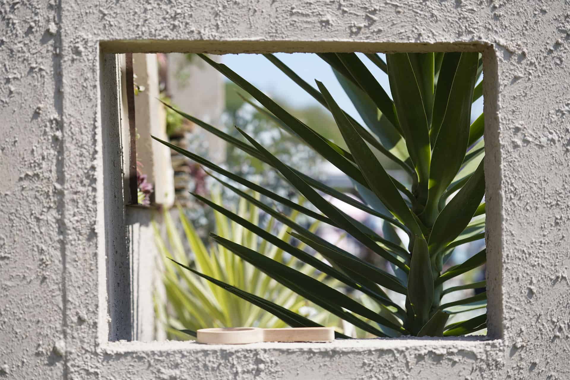 BBC Gardeners World Spring Fair 2025 - Capel Manor College