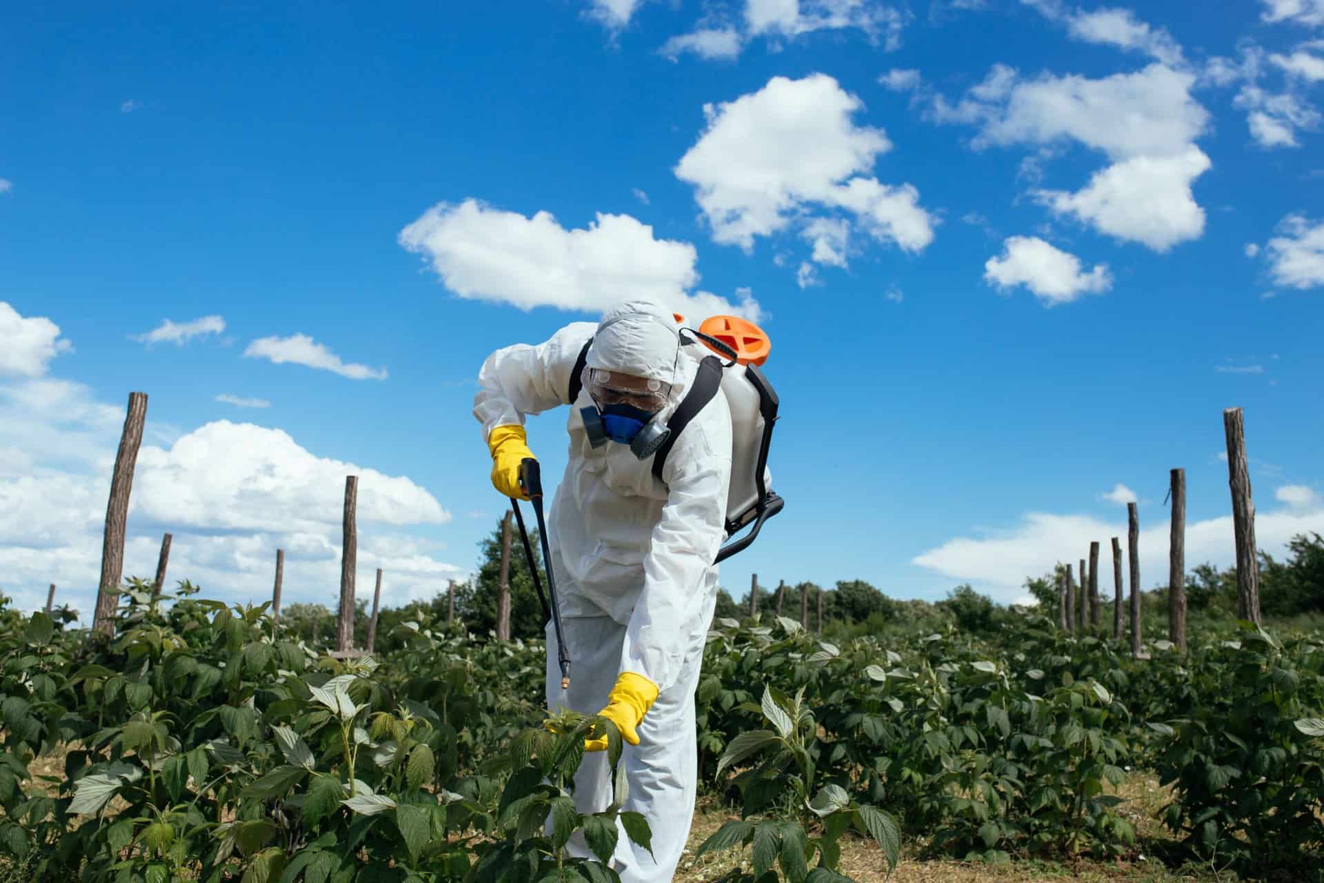 Principles of Safe Handling and Application of Pesticides (PA1) (Level ...