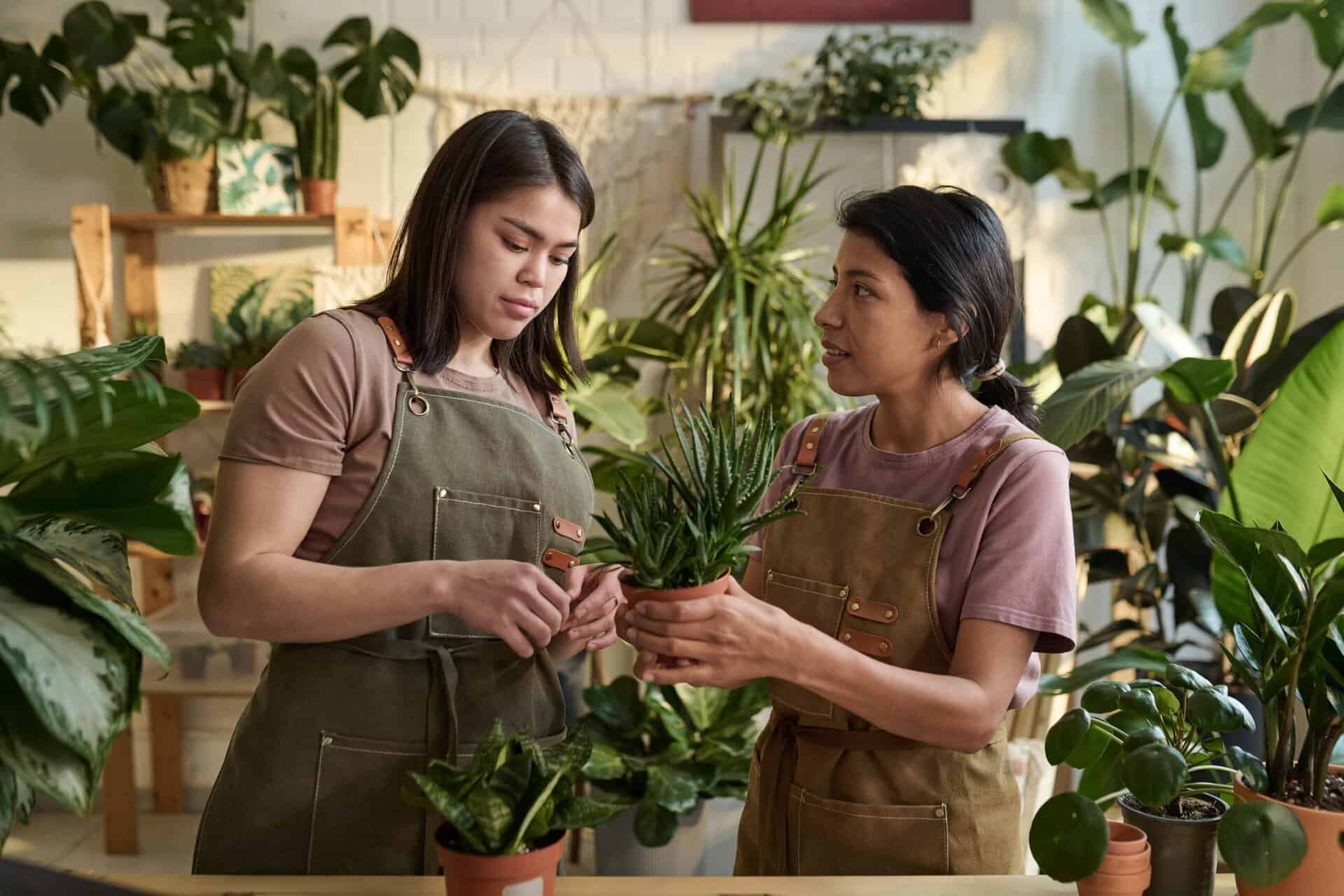 Florist Apprenticeship (Level 2) - Capel Manor College